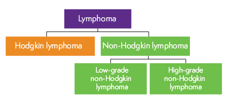 Types of Lymphoma: Understanding Hodgkin and Non-Hodgkin Subtypes ...